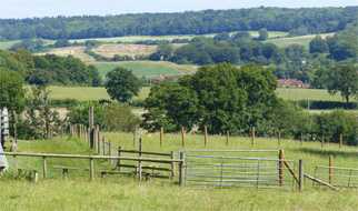 Bucklebury Common - The Bucklebury Estate, Berkshire