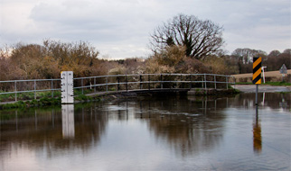 Bucklebury Common - The Bucklebury Estate, Berkshire