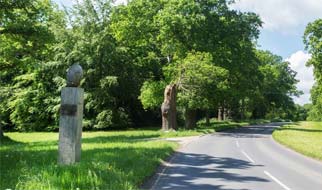 Bucklebury Common - The Bucklebury Estate, Berkshire